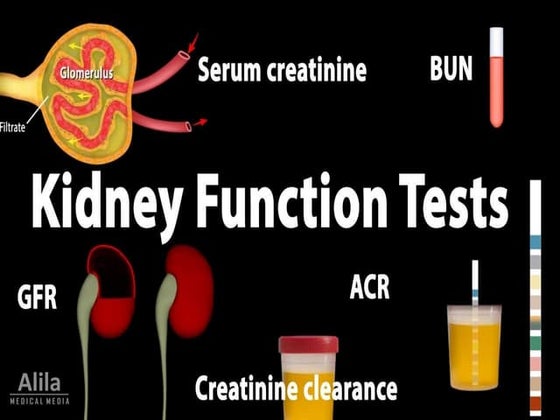 Renal Function Tests (RFT) | PPTX