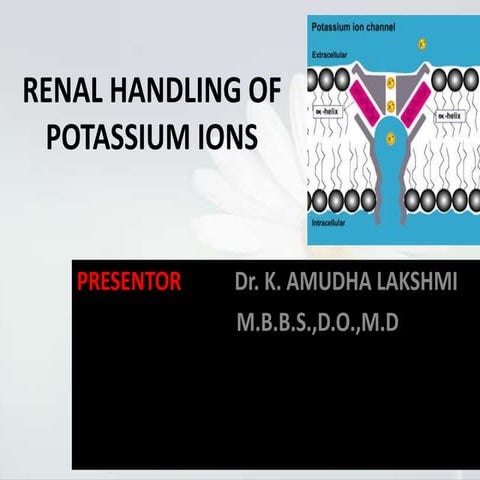 Renal handling of potassium ions | PPTX