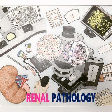Renal pathology | PPTX