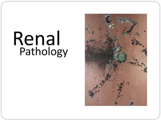Pathophysiology of Renal failure | PDF | Medical Health