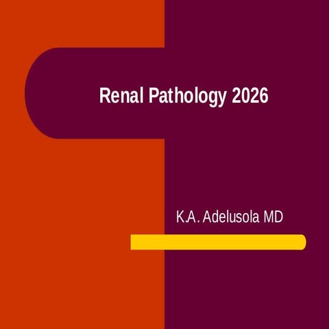 Renal Pathology lecture note 2026 Edited.pdf