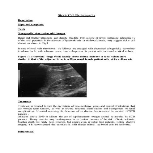 Renal pathology project on sickle cell nephropathy | DOCX