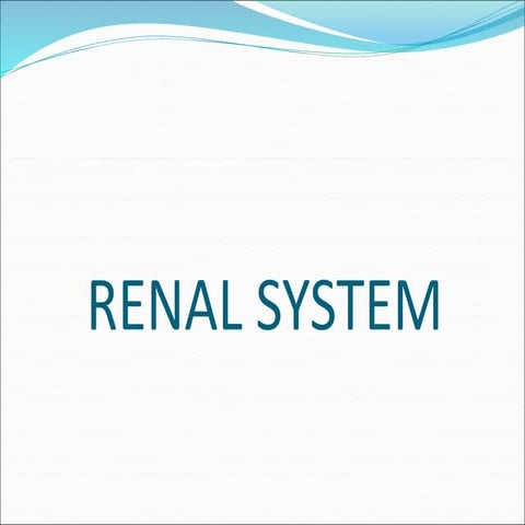 Renal Physiology and Function of Kidney. | PPT