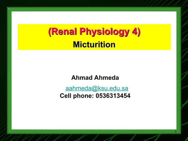 Renal Physiology 4(Micturition).ppt anatomy | PPT Renal Physiology 4(Micturition).ppt anatomy | PPT