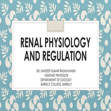 Renal Physiology and its regulation.pptx