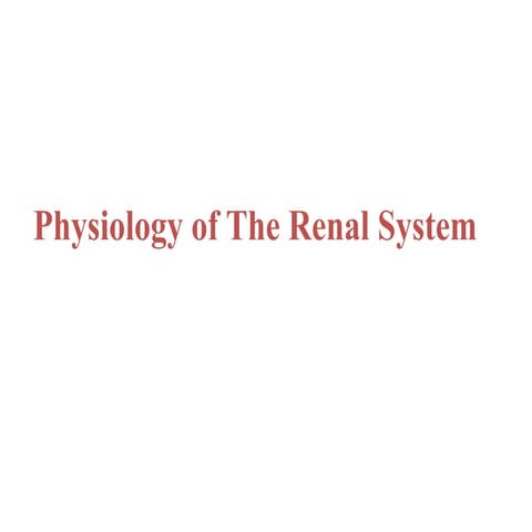 renal physiology power point presentation | PPTX