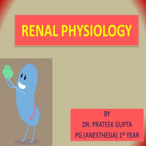 Renal anatomy and physiology seminar and chronic and acute kidney ...