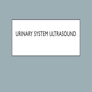 Normal anatomy of the urinary system and their ultrasound findings as ...
