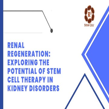 Renal Regeneration: Exploring the Potential of Stem Cell Therapy in ...
