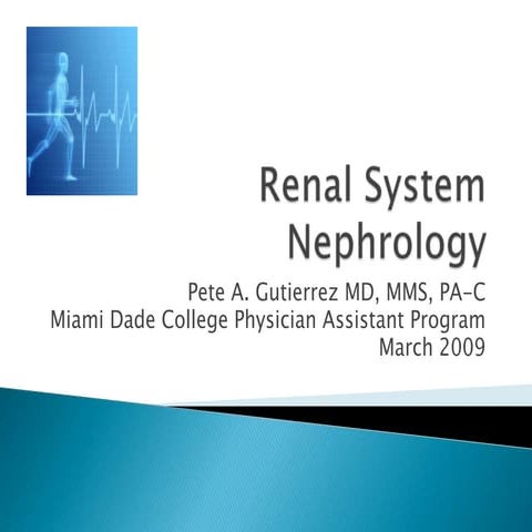 Renal System | PPT