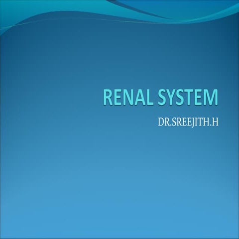 Renal system | PPT
