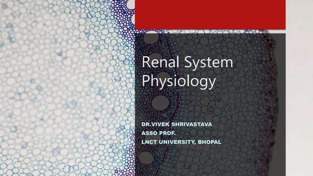 Anatomy of Nephron | PPTX