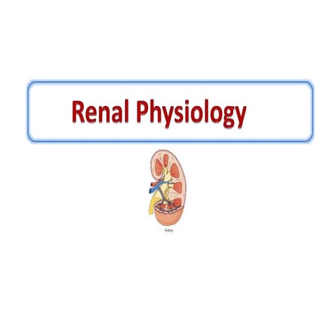Structure of nephron and functions of its parts | PPTX