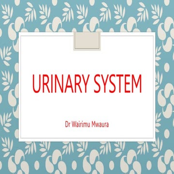 RENAL SYSTEM -BMLS.pptx