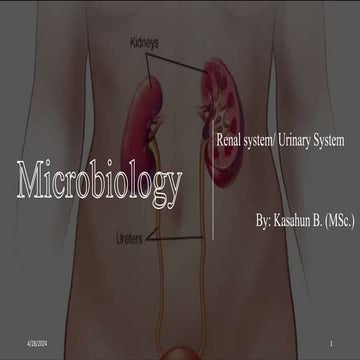 Microbiology of Renal system for medicine students (1).pptx
