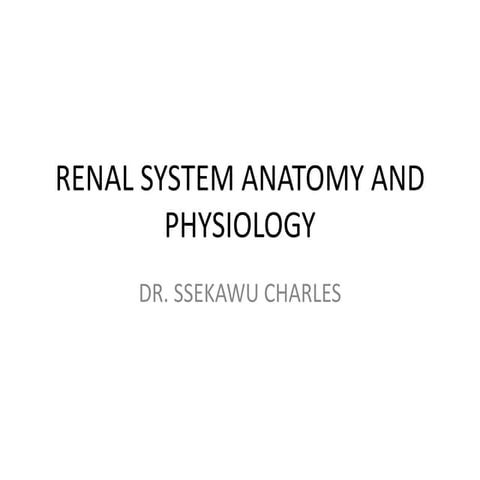 RENAL SYSTEM ANATOMY AND PHYSIOLOGY.pptx