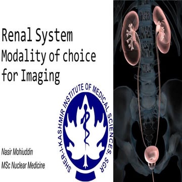 Renal system Imaging.pptx