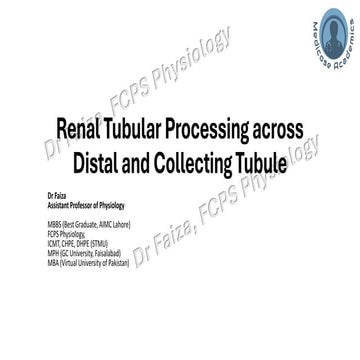 renal tubular processing across distal and collecting tubules | PDF