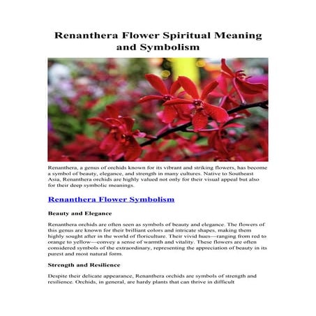 Renanthera Flower Spiritual Meaning and Symbolism.docx