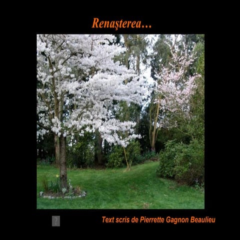 Renasterea.......... LA MULTI ANI DE 8 MARTIE | PPS