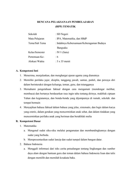 RPP BIPA | DOCX