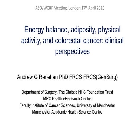 Renehan opac2013 | PPTX