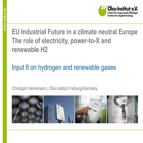 EU Industrial Future in a climate neutral Europe. The role of ...