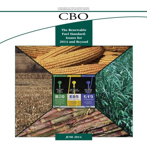 Dr. Dev Kambhampati | CBO Report- Renewable fuel standard issues for ...