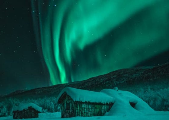 Rene Westphal Jørgensen.pdf