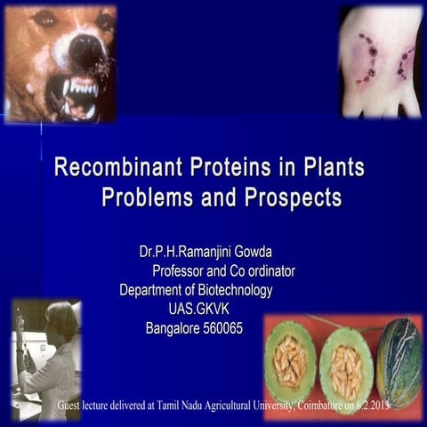 Recombinant Proteins in Plants :Problems and Prospects | PPT