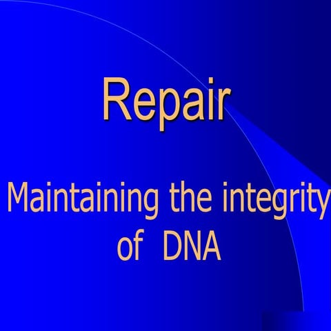 DNA Repair | PPT