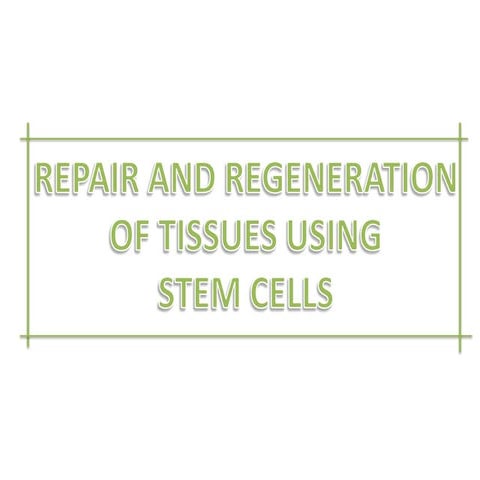 Repair and regeneration of tissues using stem cells | PPTX