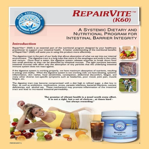 Repairvite | PDF