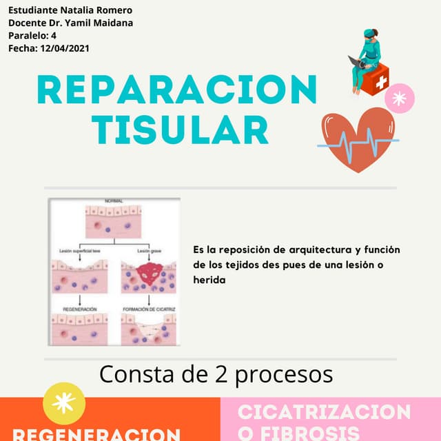 Reparacion Y Cicatrizacion Investigadores Del Instituto Karolinska Reparacion Y Cicatrizacion Investigadores Del Instituto Karolinska