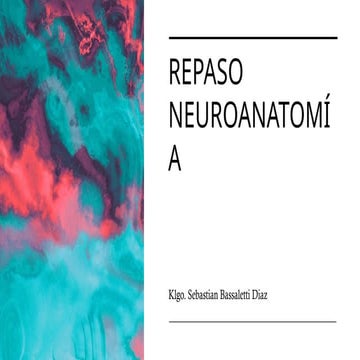 repaso-neuroanatomia. anatomía repaso breve | PPTX
