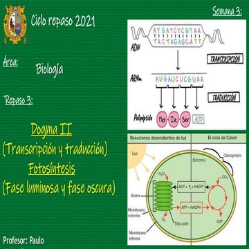 REPASO 3 (2021).pptx