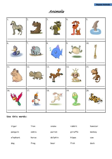sample worksheet | PDF