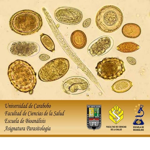 Repaso práctico de Parasitología | PPT