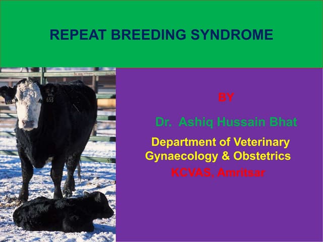REPEAT BREEDING | PPTX