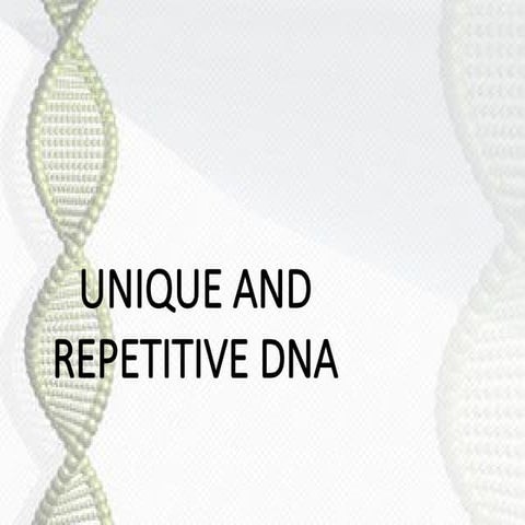 Types of DNA- Repetitive and Satellite DNA | PPTX | Biological Sciences ...
