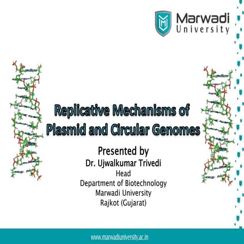 Replicative mechanisms of Plasmid and Circular Genomes | PPT