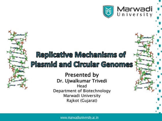 Plasmid replication -methods & types | PPT