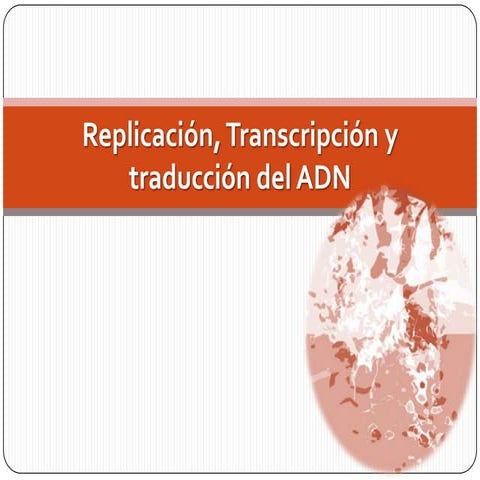 Replicación, transcripción y traducción del adn | PPT