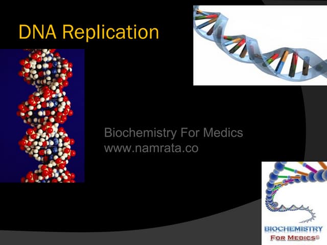 DNA Replication PowerPoint | PPT