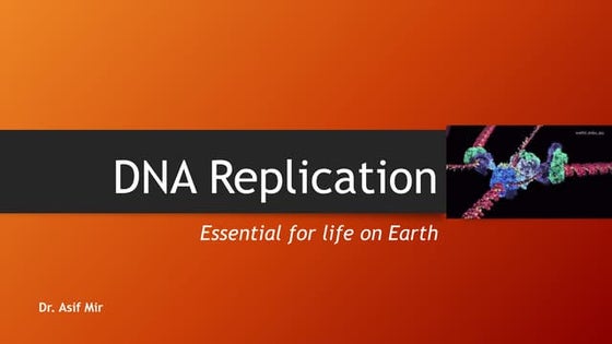 Dna replication eukaryotes | PPTX