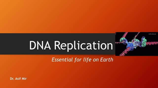Dna Replication Eukaryotes Pptx