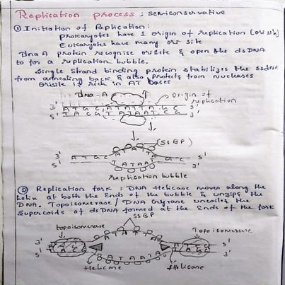 Replication of DNA in Prokaryotic cells.pdf