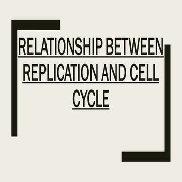 replication and cell cycle | PDF