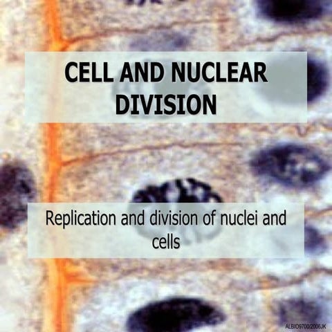 01 Replication and Division of Nuclei and Cells | PPT