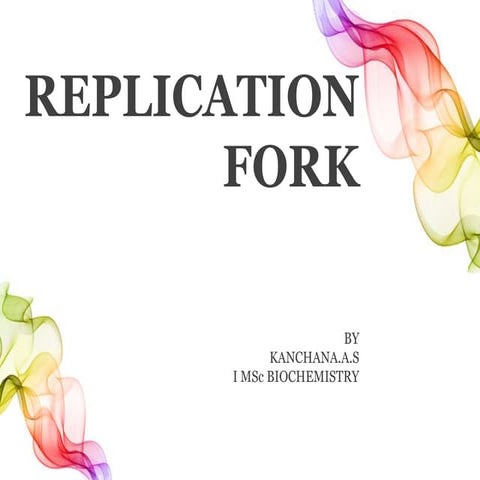 Replication fork final | PPTX